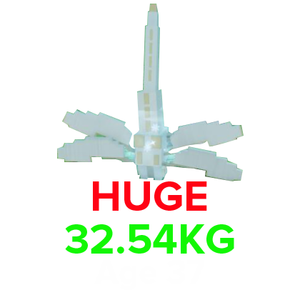 Frozen Dragonfly (HUGE) (32.54KG Age 37) Grow a Garden – Value ...